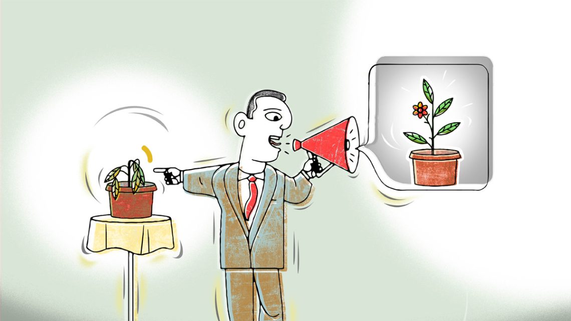 The Great Deception: Misleading Advertisement Examples Breakdown ...